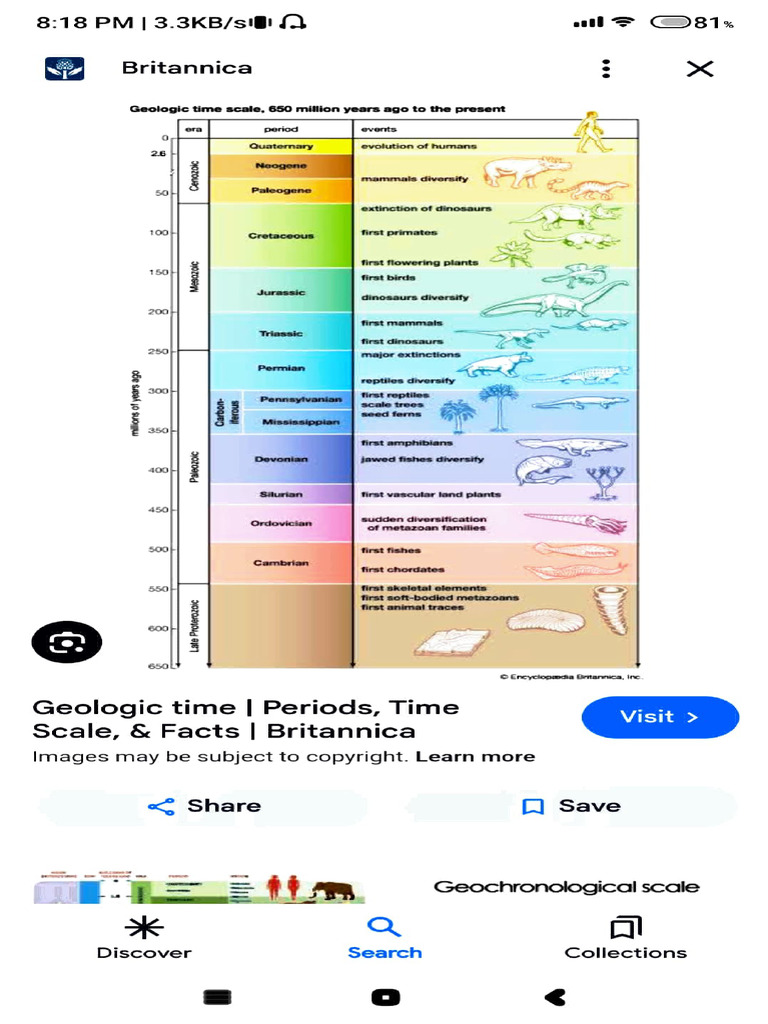 Adobe Scan 01-May-2024 | PDF | Dinosaurs | Geologic Time Scale