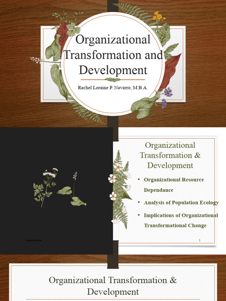 Organizational Transformation and Development | PDF | Electronic ...
