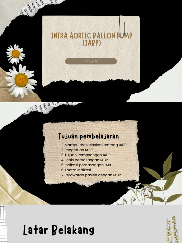 Intra Aortic Ballon Pump (Iabp) | PDF