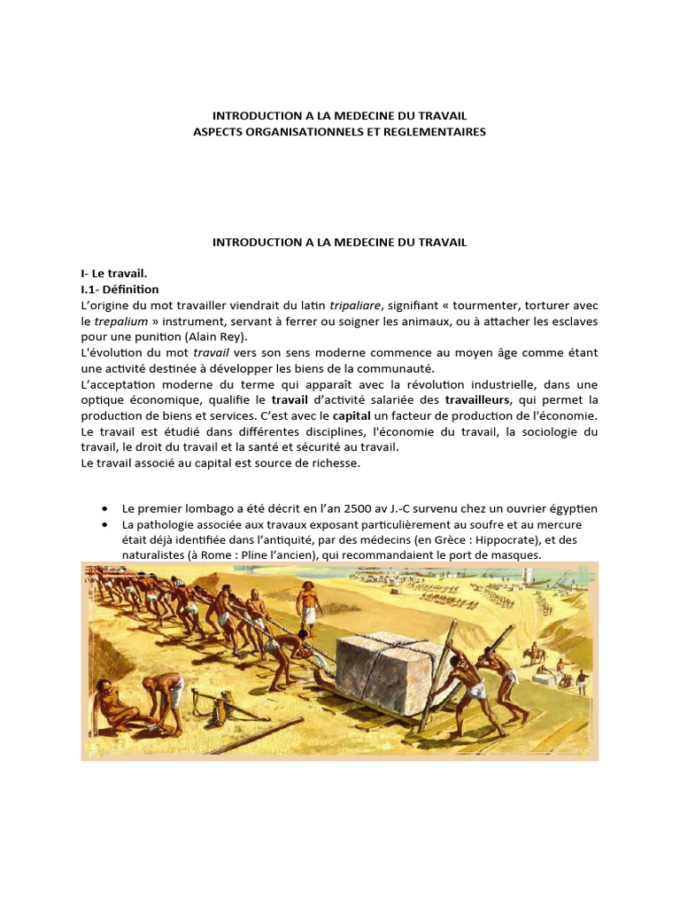 Introduction à la Médecine du Travail | PDF | Médecine | Sécurité