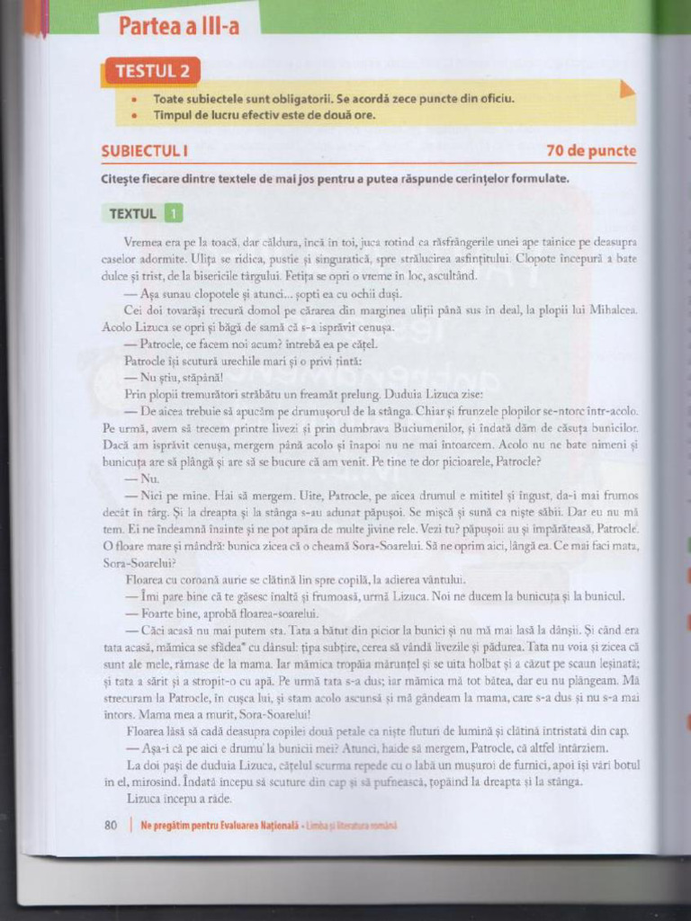 Variantă EN Caracterizare Personaj | PDF