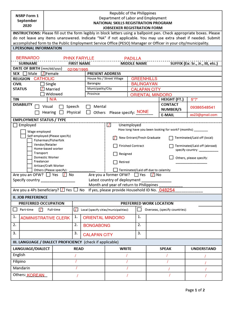 BLE LMI FORM NSRP Registration Form 1 Jobseeker 1 1 | PDF | Vocational ...