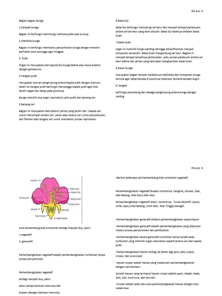 Materi IPA Kelas 6: Bunga dan Perkembangbiakan | PDF