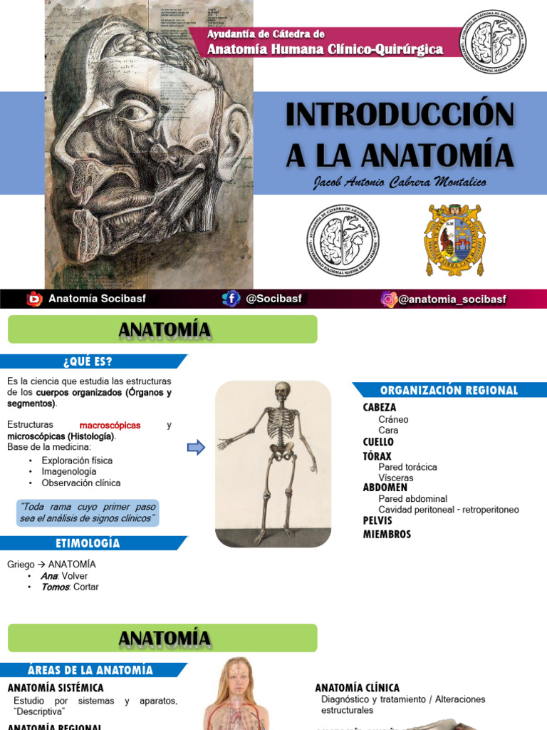 Generalidades de Anatomía | PDF | Términos anatómicos de ubicación ...