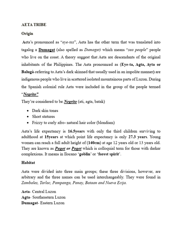 AETA Indigenous People | PDF
