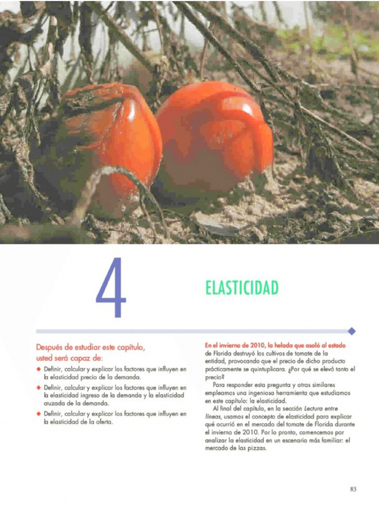 CAPITULO 4 MANKIW Elasticidad | PDF