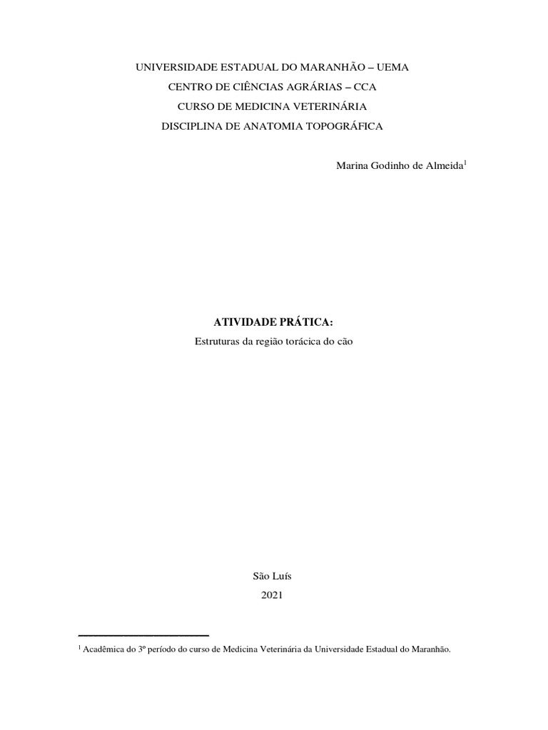 Anatomia Topográfica - Atividade Prática - Estruturas Da Região ...