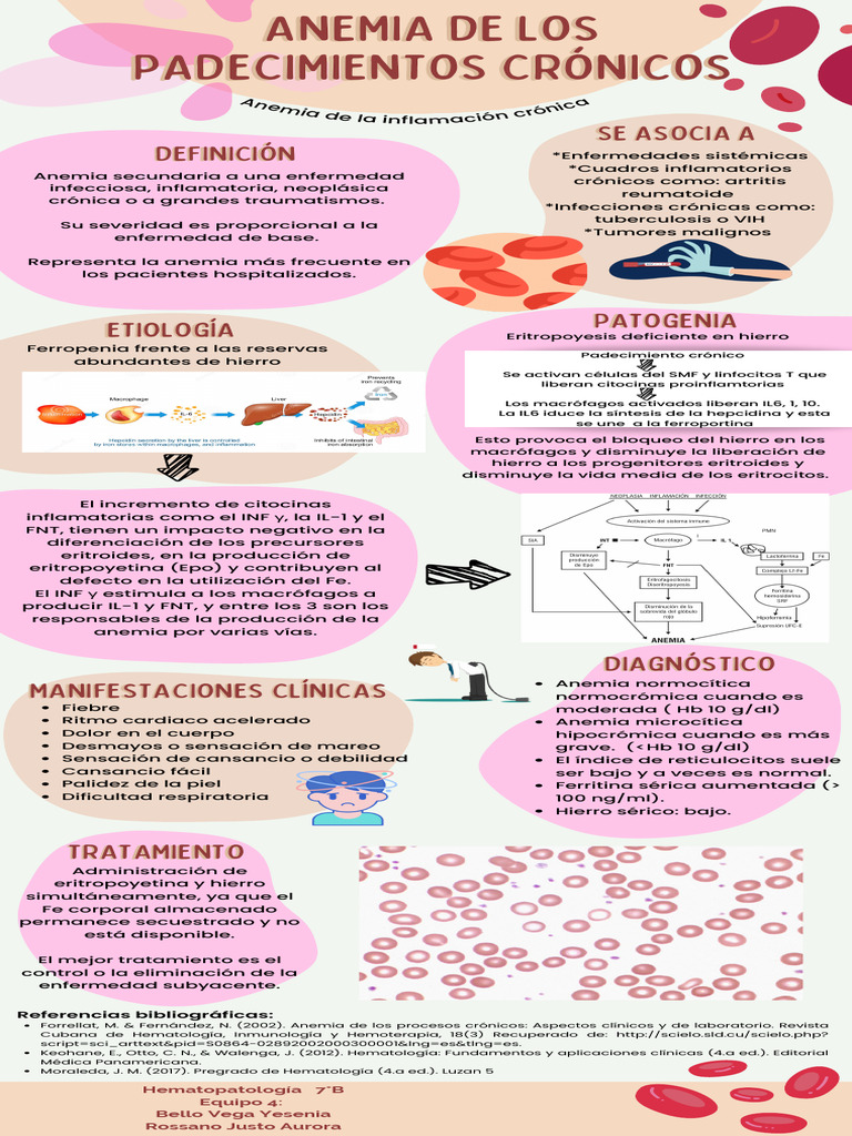 Eq. 4 Anemia de Los Padecimientos Crónicos | Descargar gratis PDF ...