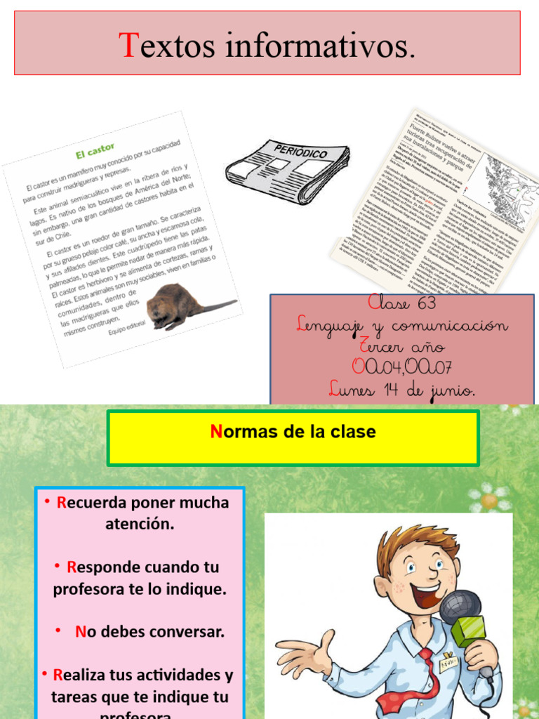 Textos Informativos | PDF