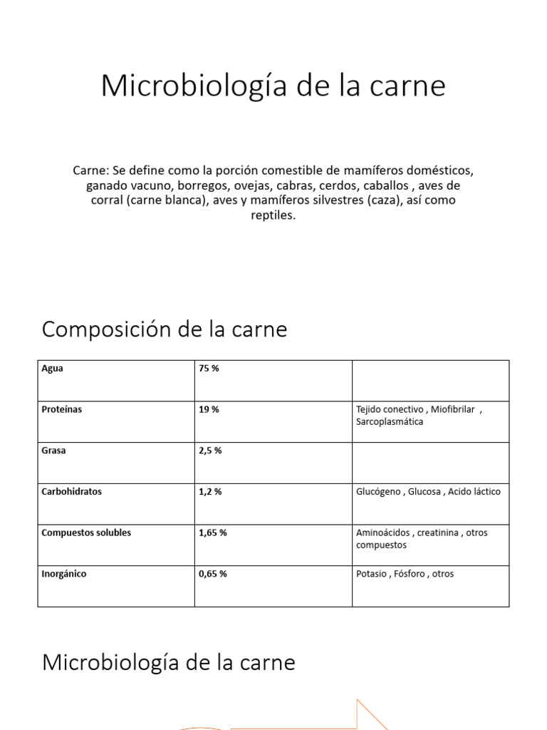 Microbiología de La Carne | PDF | Carne | Las bacterias
