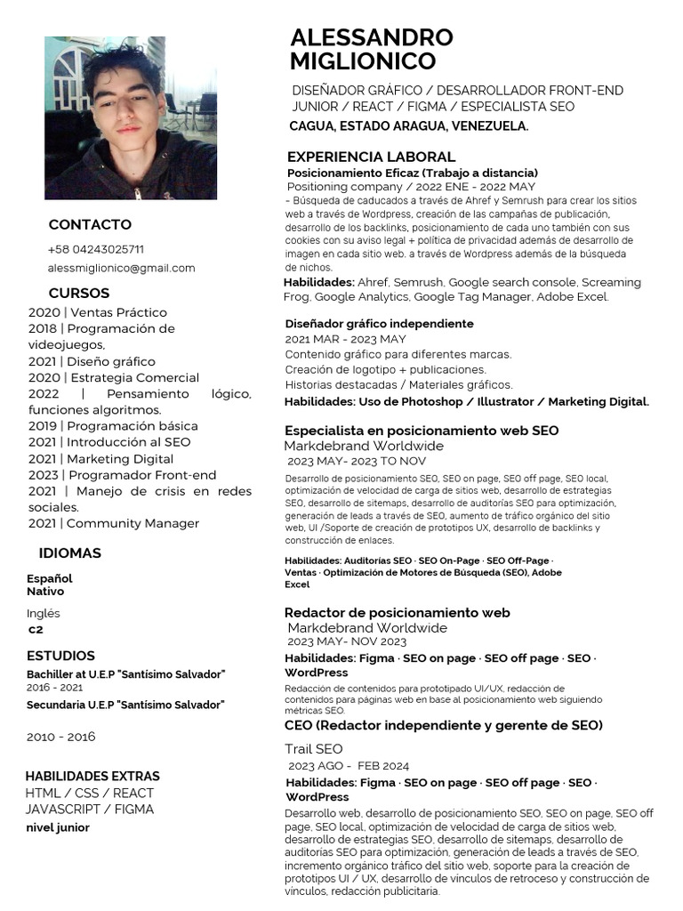 Alessandro CV Español | PDF | Posicionamiento en buscadores | Hipertexto