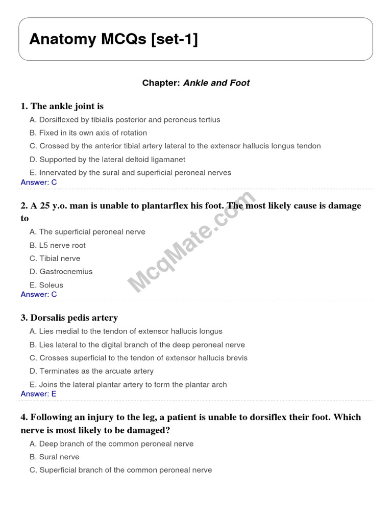 Ankle and Foot Set 1 | PDF | Ankle | Foot