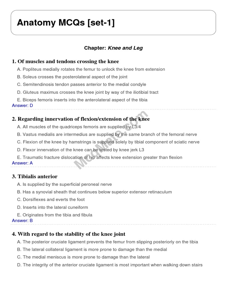Knee Anatomy MCQs and Notes | PDF | Knee | Human Leg