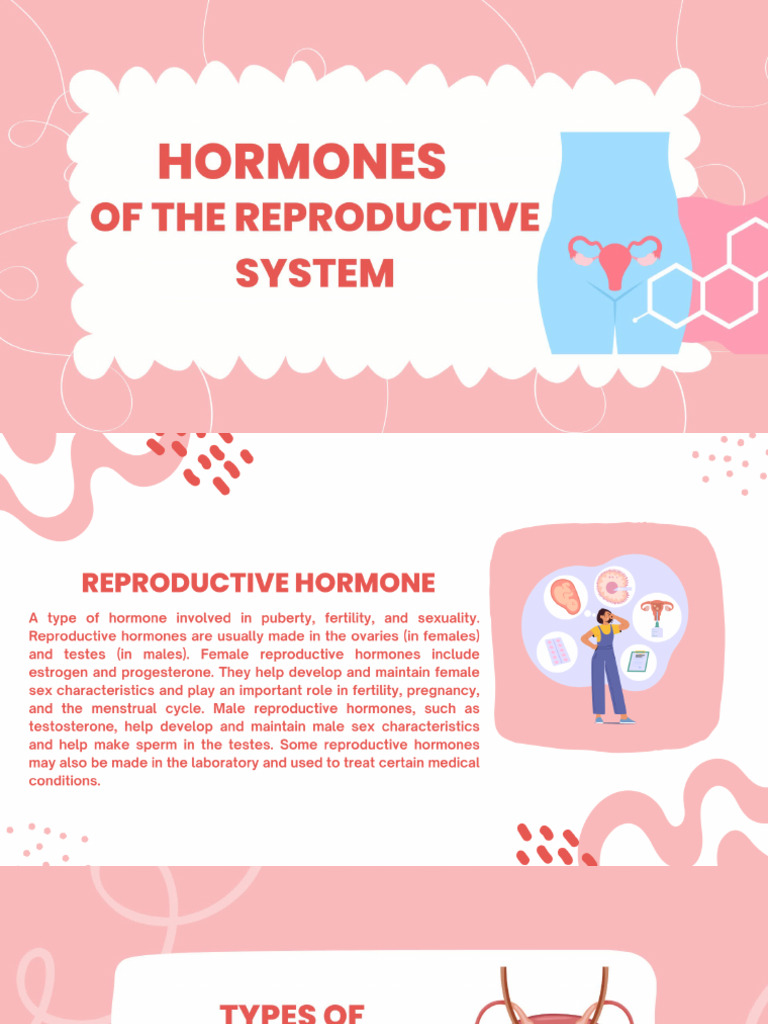 Hormones in The Reproductive System Group 1 BEED 2 | PDF