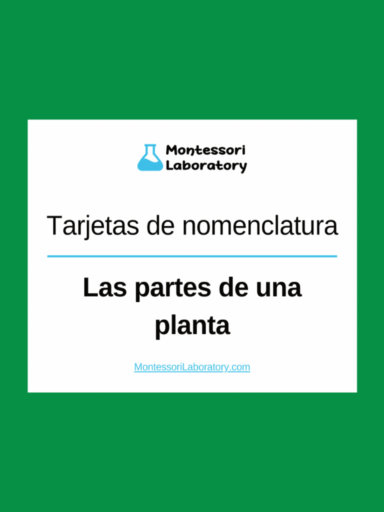 Nomenclatura Partes de Una Planta | PDF