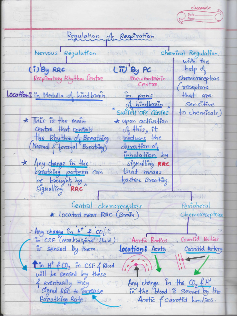 Scan - 20240428 (6 Files Merged) | PDF