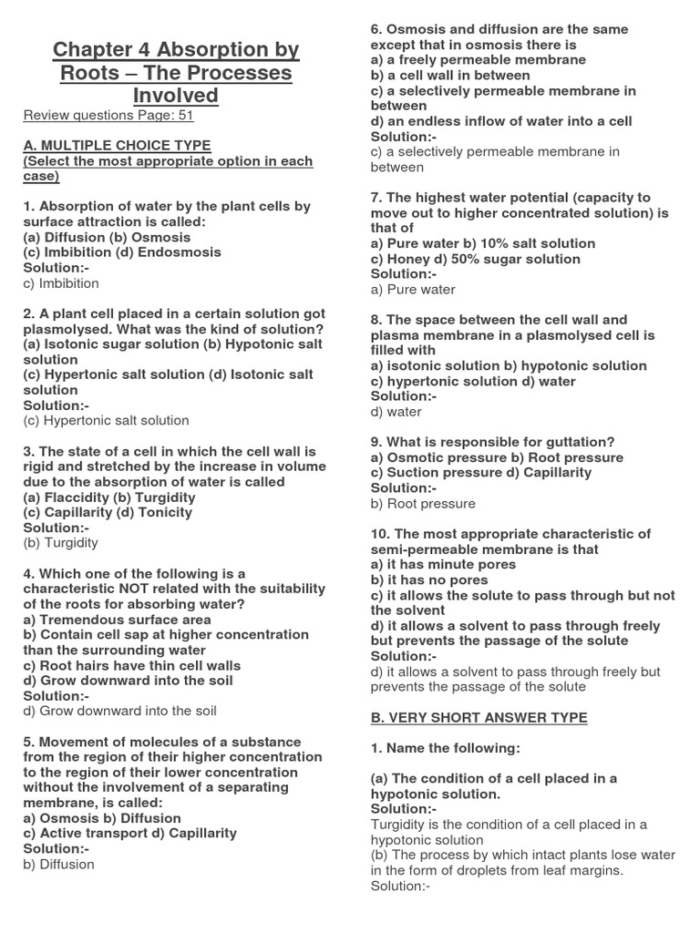 Chapter 4 Absorption by Roots Biology Class 10 | Download Free PDF | Osmosis | Plants