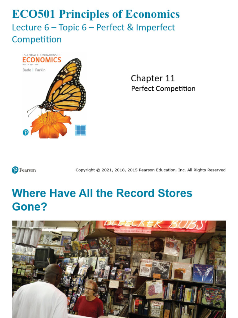 L6 Perfect Competition | PDF | Perfect Competition | Market Power