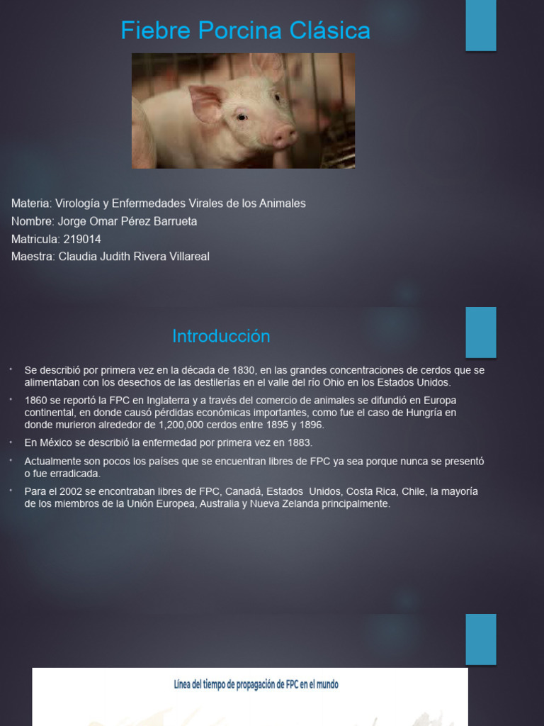 Fiebre Porcina Clásica: Epidemiología y Control | PDF | Virus ...