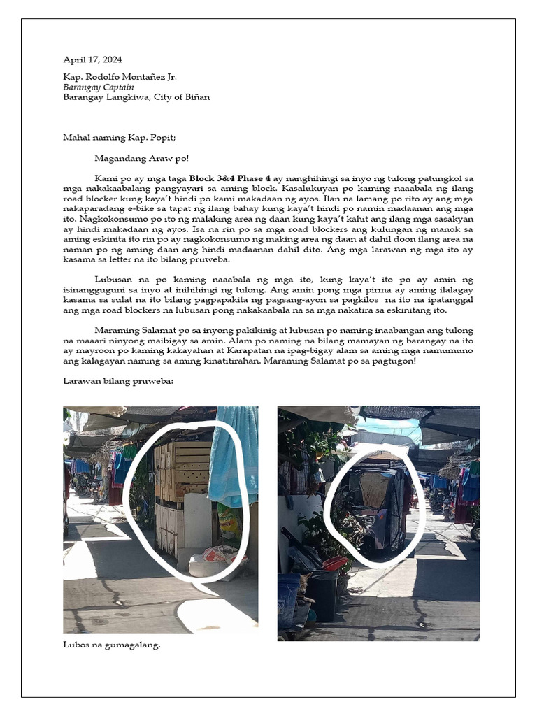 Barangay Captain | PDF