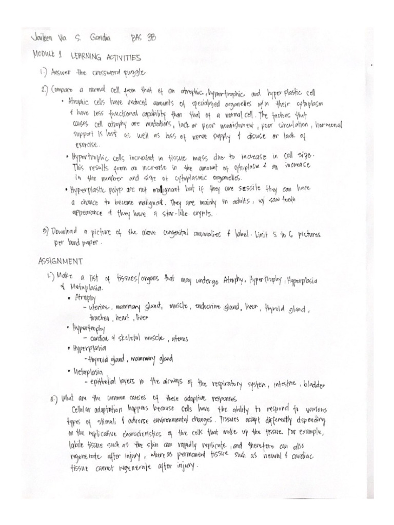 MODULE2 | PDF