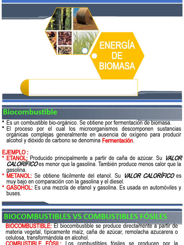 Biomasa 02 2024A | Descargar gratis PDF | Biocombustible | Biodiésel