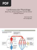Pulse Examination Techniques and Types | PDF | Pulse | Cardiovascular ...