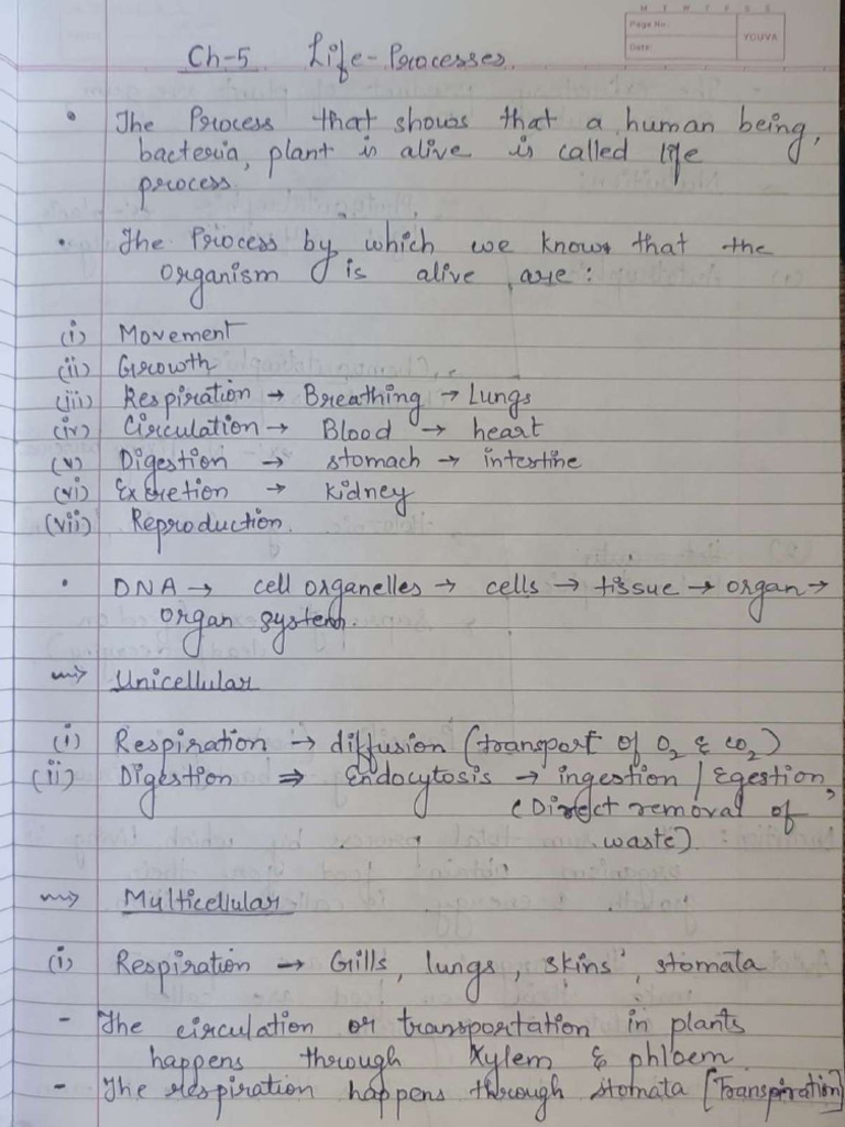 CH-5 Life Processes | PDF