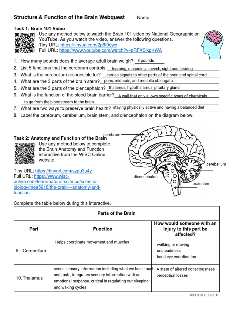 Kami Export - Alexa Acosta - Student Handout For Brain Webquest | PDF ...
