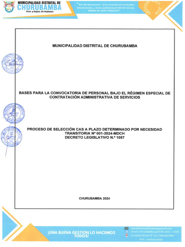 Bases para La Convocatoria Cas 2024 | PDF