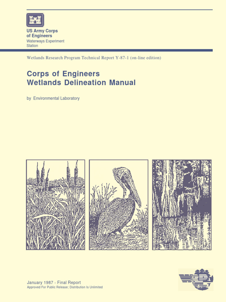 1987 ACOE Wetland Delineation | PDF | Wetland | Flood