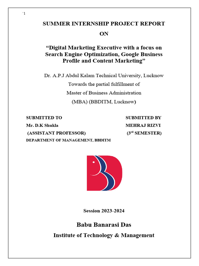 Summer Internship Project Report | PDF | Digital Marketing | Search ...