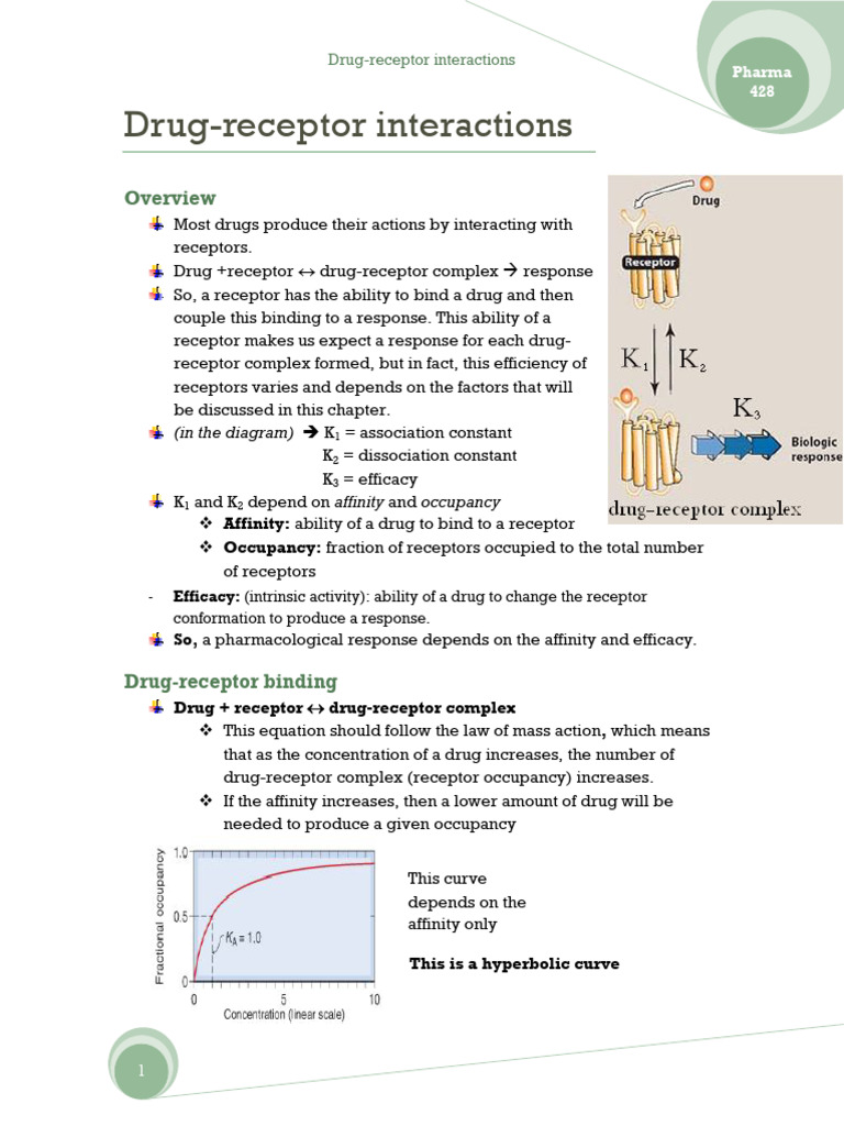 2 Drug Receptor Interactions (New) | PDF | Receptor Antagonist | Agonist