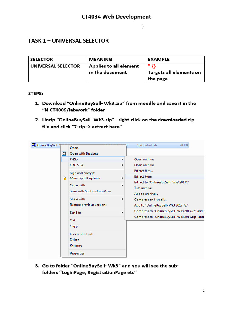 Web Development Lab: Universal Selector | PDF
