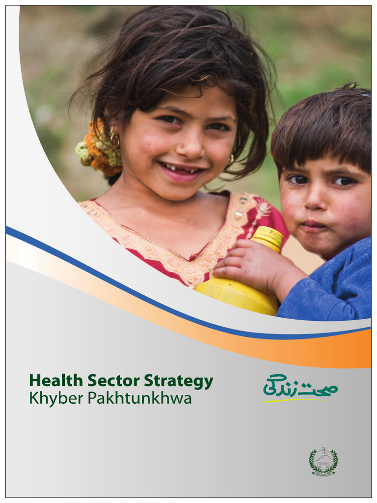Health Sector Strategy Khyber Pakhtunkhwa 2010-17 | PDF