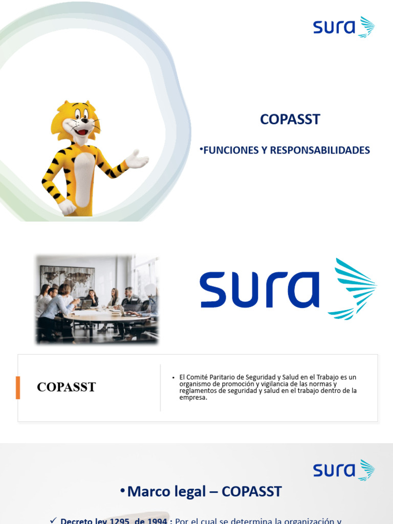 Funciones Del Copasst | PDF | Seguridad y salud ocupacional