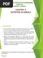 Human Digestive System Flow Chart | PDF | Digestion | Stomach