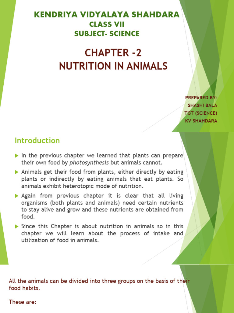 Science, CH 2 NUTRITION IN ANIMALS | PDF | Human Digestive System ...