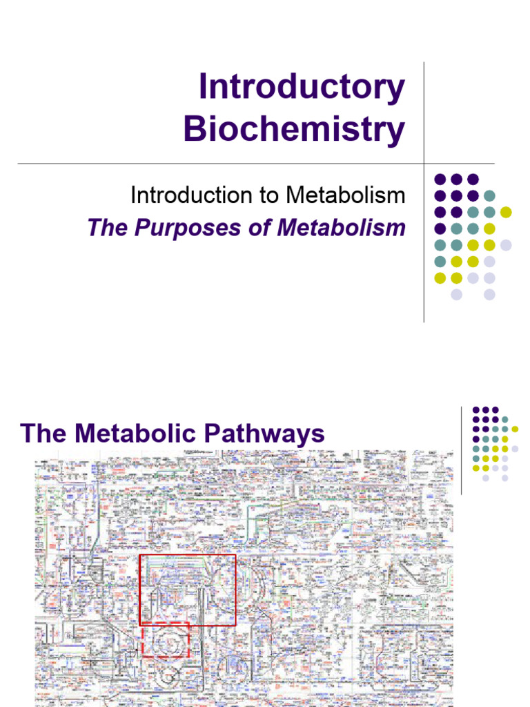 7.introduction To Metabolism Complete | Download Free PDF | Metabolism | Metabolic Pathway