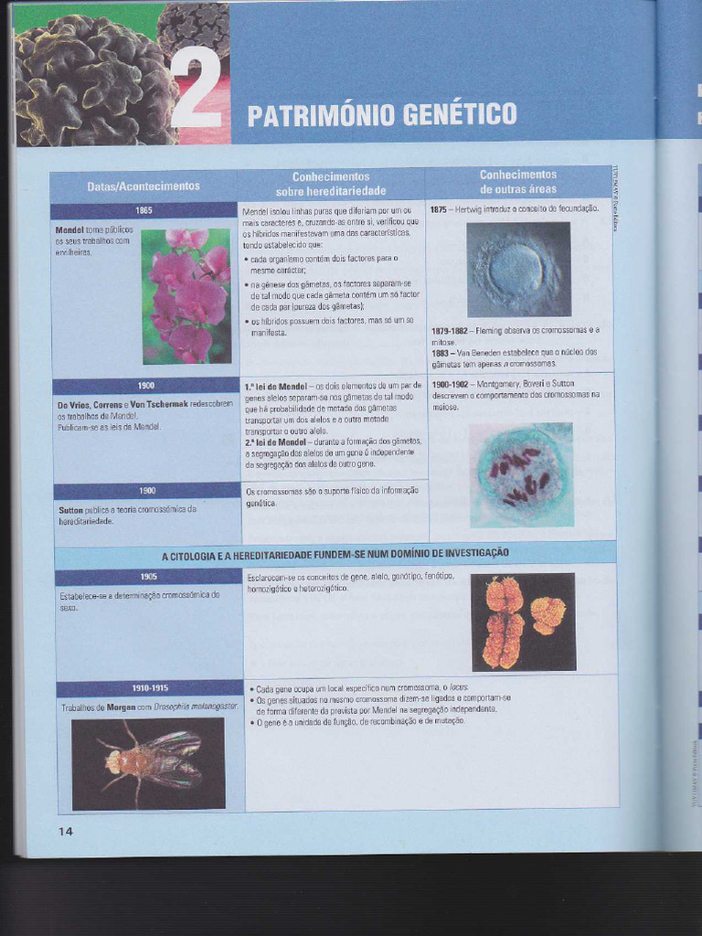 Pe Bio12 Ca U2 | PDF