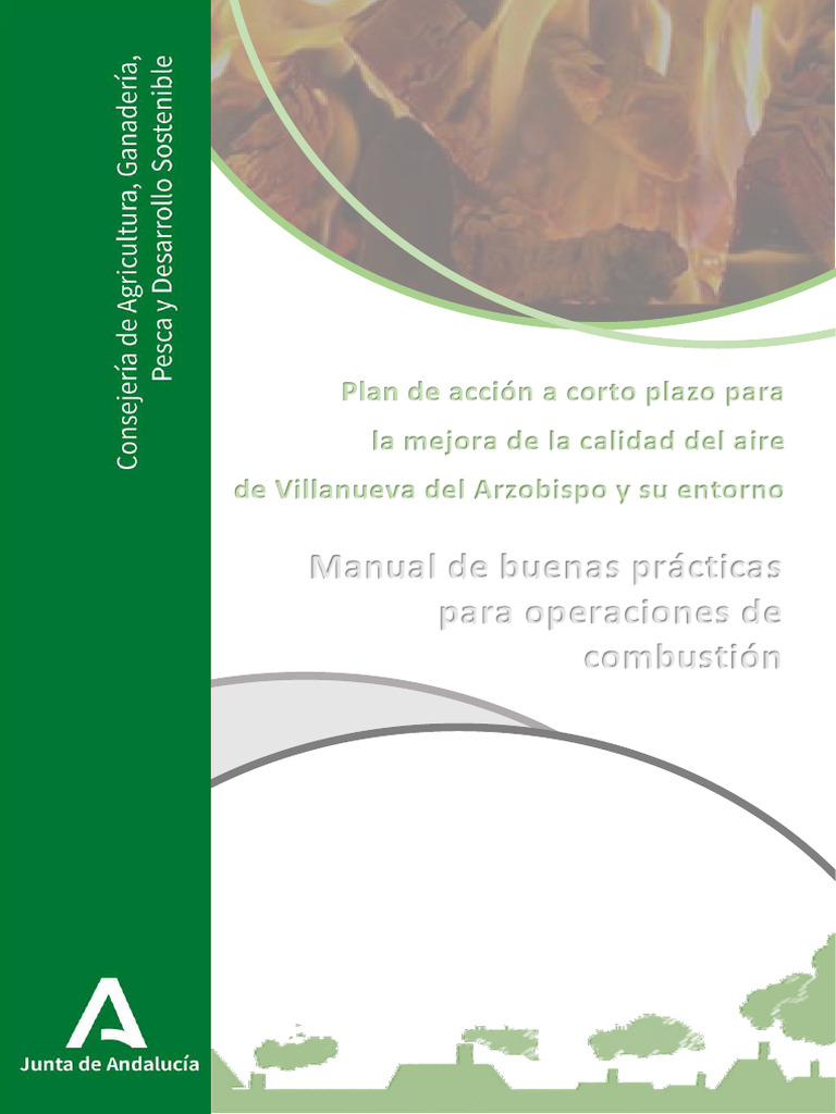 Manual Combustión Biomasa Villanueva | PDF | Combustión | Incendios