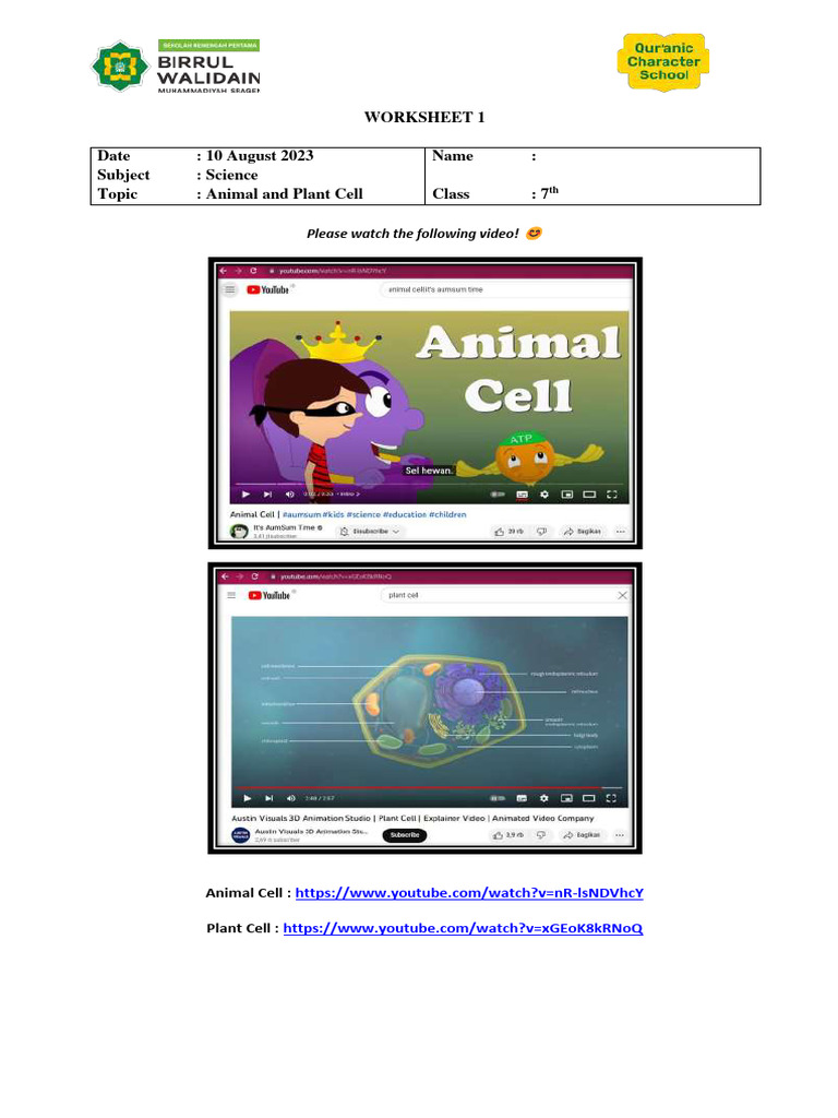 Animal and Plant Cell Worksheet | PDF | Endoplasmic Reticulum | Cell ...