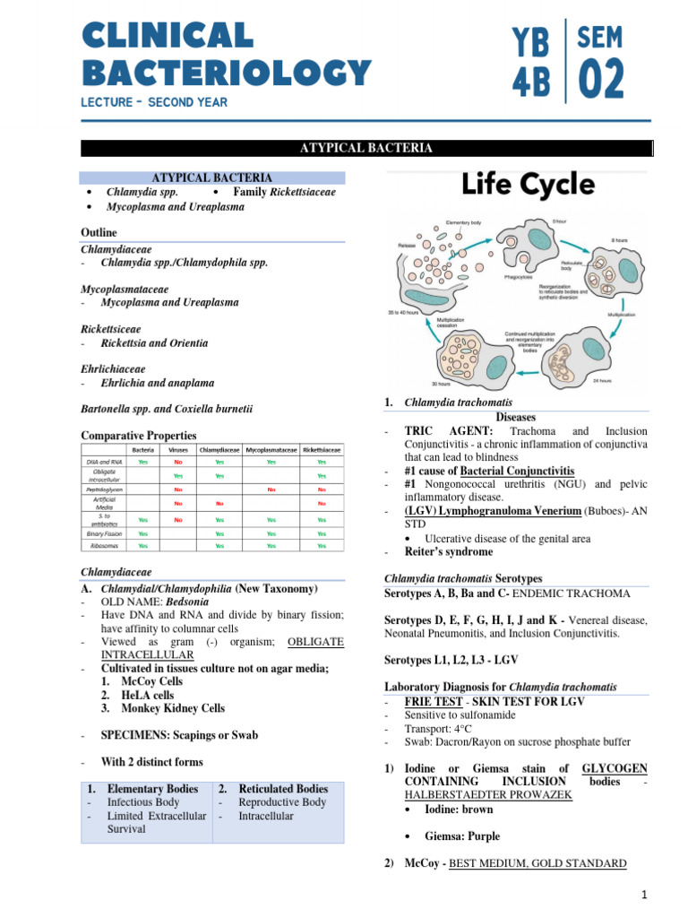 Atypical Bacteria Overview and Diagnosis | PDF | Mycoplasma | Clinical ...