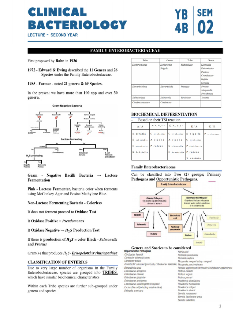 BACTE MODULE 10.1 Family Enterobacteriaceae | PDF | Microbiology | Bacteria