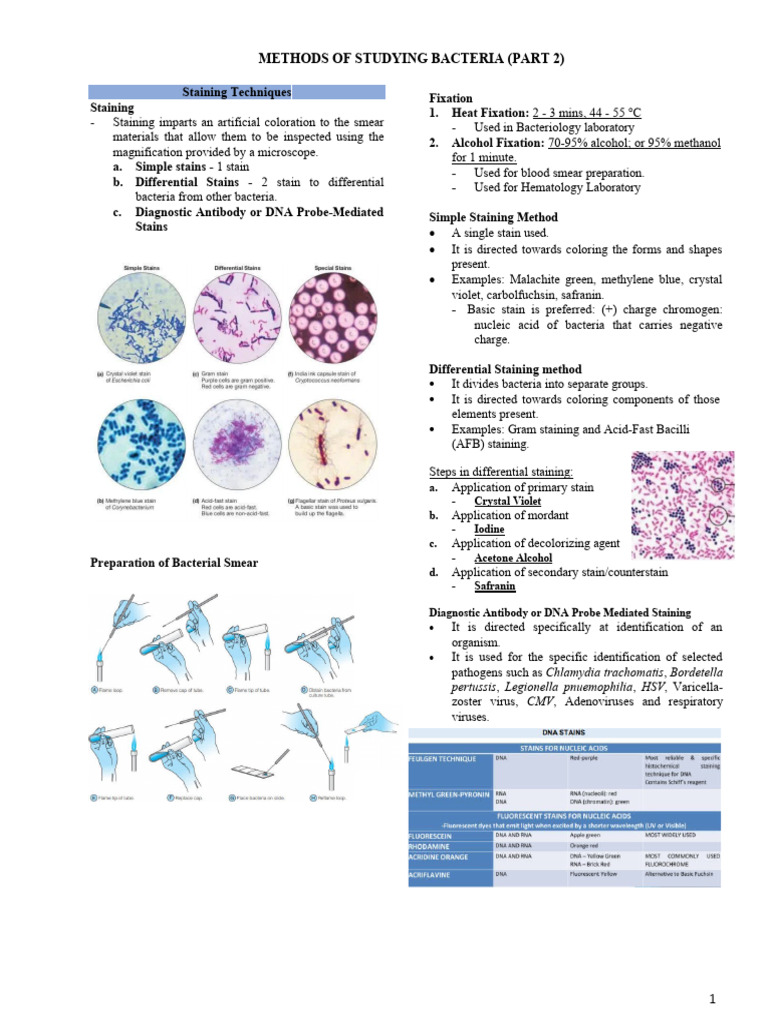 BACTE MODULE 5 Methods of Studying Bacteria Part 2 | PDF | Growth ...