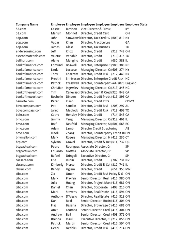 Company Employee Directory by Role | PDF | Financial Economics | Credit
