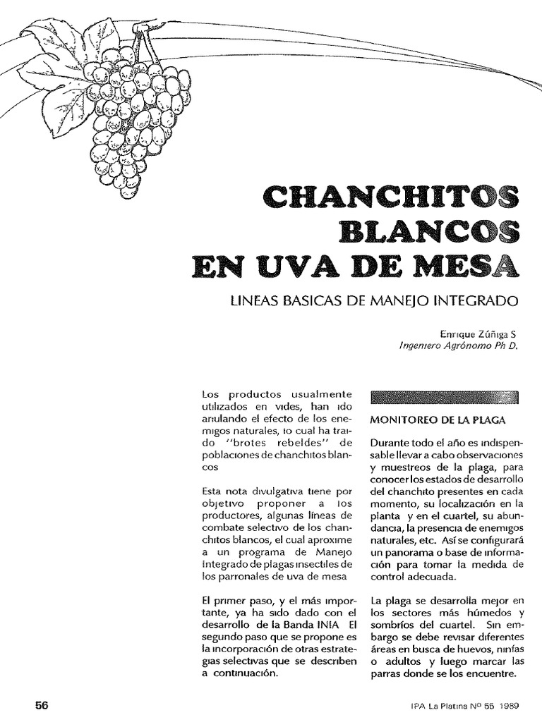 Chanchito Blanco | Descargar gratis PDF | Insectos | Insecticida