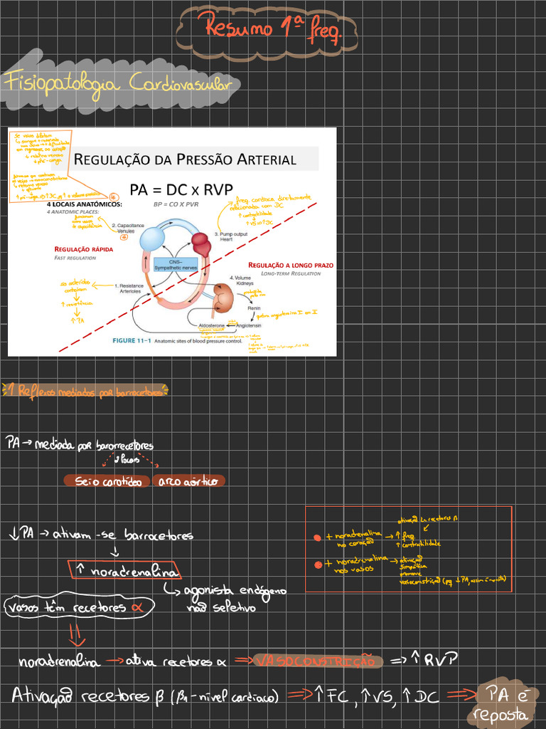 Resumo 1 Freq. Farmacologia | PDF