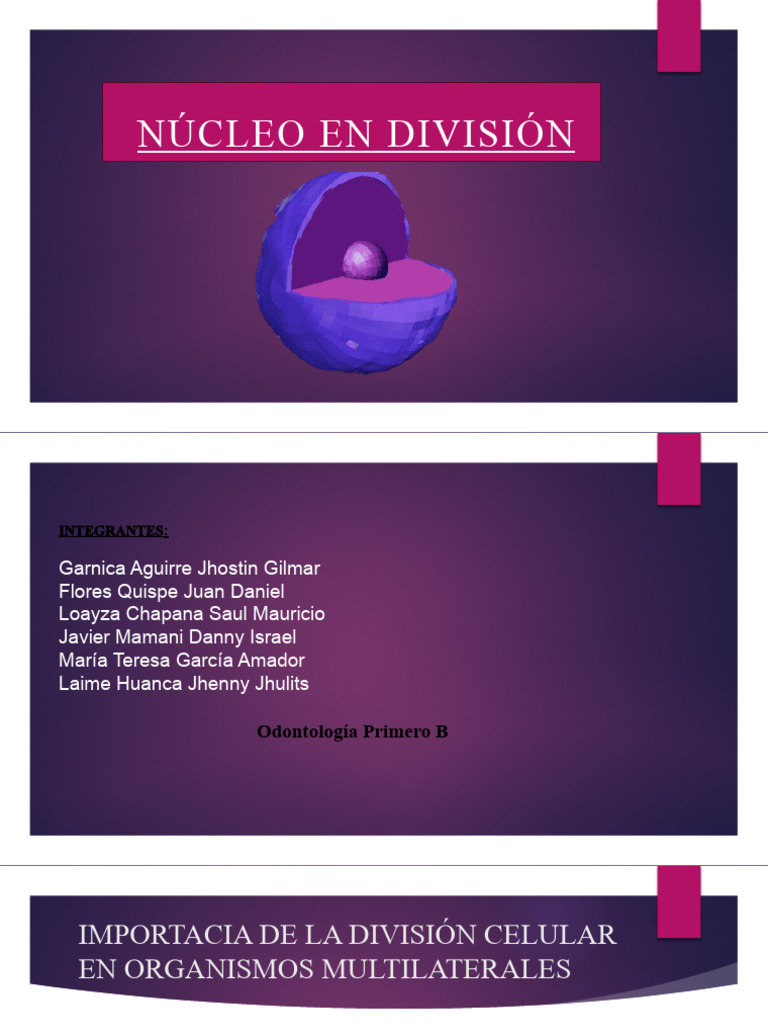 División Nuclear | PDF | Mitosis | Mitosis