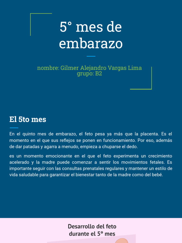 Quinto mes de embarazo: desarrollo fetal | PDF